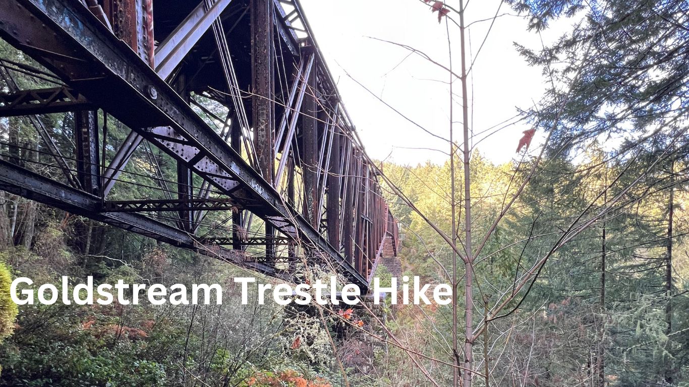 Goldstream Trestle - Weekender Van Life